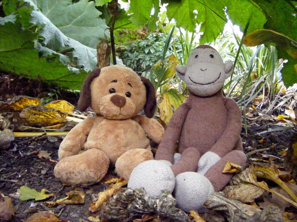 French preposition practice for children | agreenmouse.com